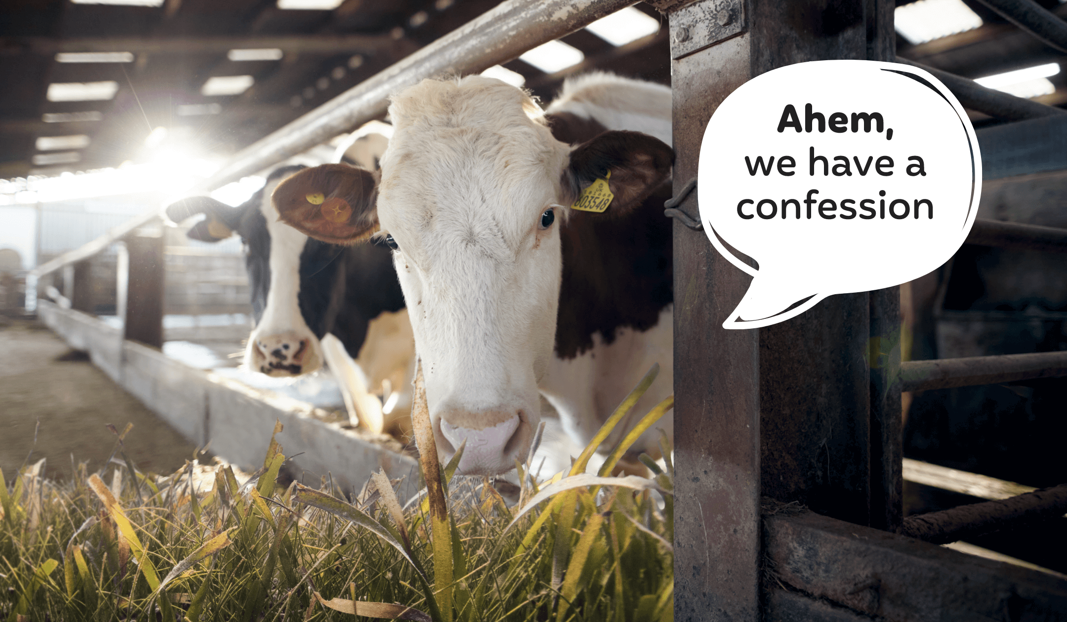 Seagrass Green Milk: Fact or Fiction? | Modern Milkman