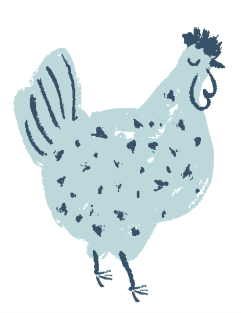 From Farm to Doorstep: Eggs Update | Modern Milkman